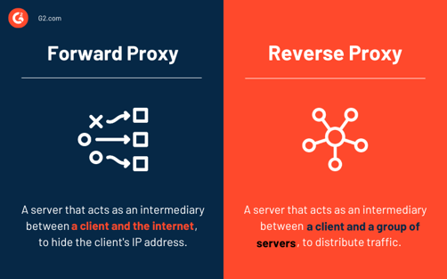 Forward vs. Reverse Proxy: 7 Differences You Need To Know