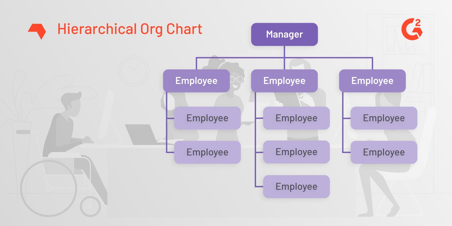 What Is an Organizational Chart? (+Examples and Free Template)