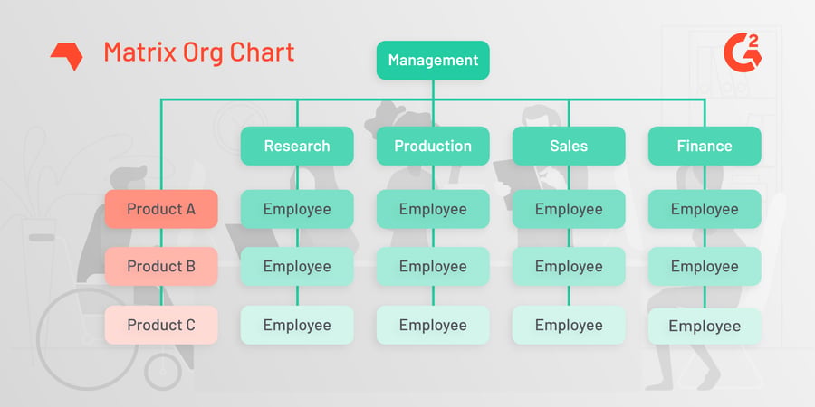 What Is an Organizational Chart? (+Examples and Free Template)