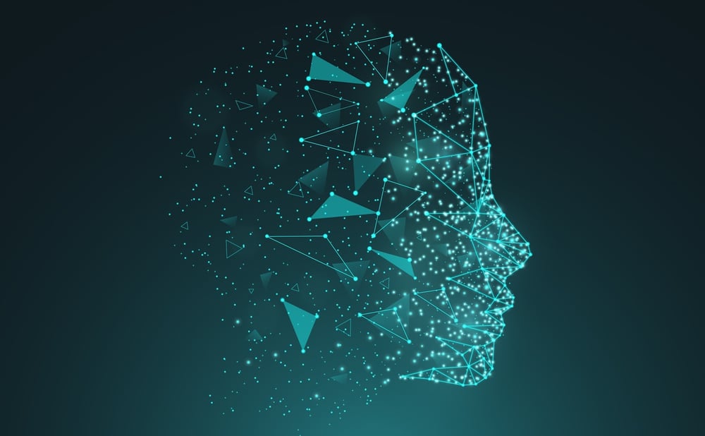 What Is Green Architecture? How It Informs Modern Sustainability