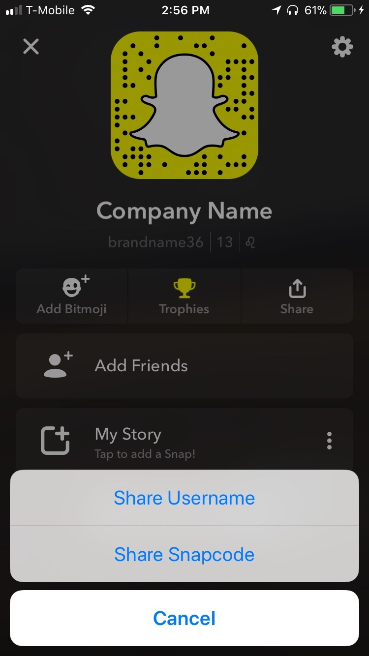 A Beginner’s Guide to Snapchat for Business