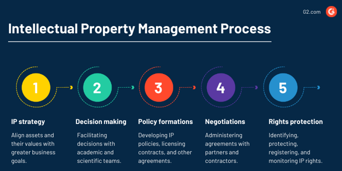What Is Intellectual Property Management? Why It Matters