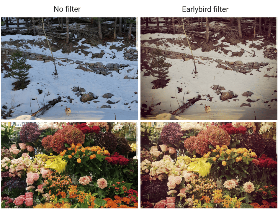 Instagram Filters: How to Use and the Best Filters