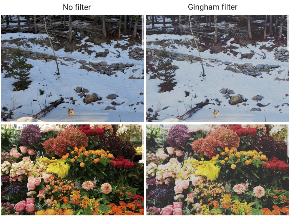 Instagram Filters: How to Use and the Best Filters