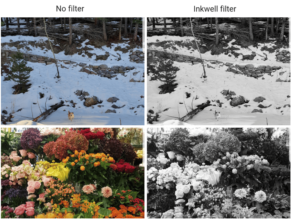 Instagram Filters: How to Use and the Best Filters