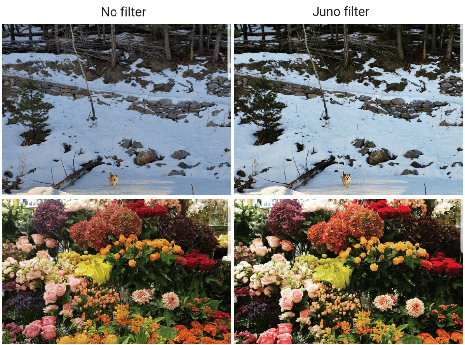 Instagram Filters: How to Use and the Best Filters