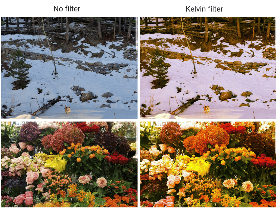 Instagram Filters: How to Use and the Best Filters