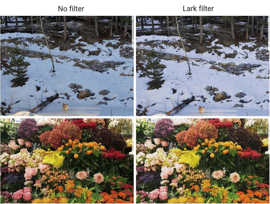 Instagram Filters: How to Use and the Best Filters
