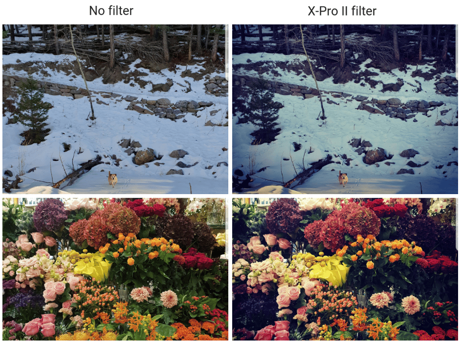 Instagram Filters: How to Use and the Best Filters