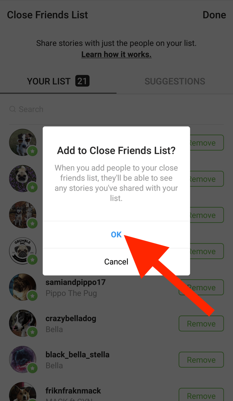 Too Many Dog Pics: How to Use Instagram Close Friends