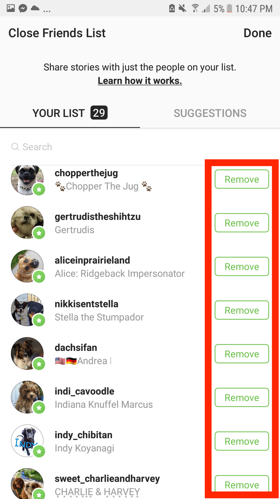 Too Many Dog Pics: How to Use Instagram Close Friends