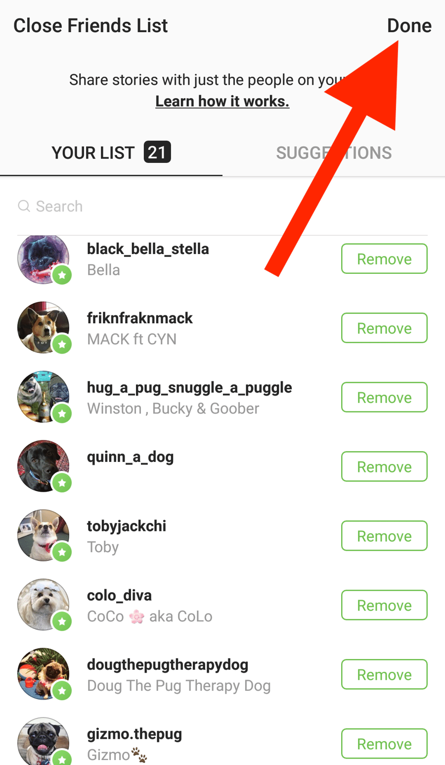 Too Many Dog Pics: How to Use Instagram Close Friends