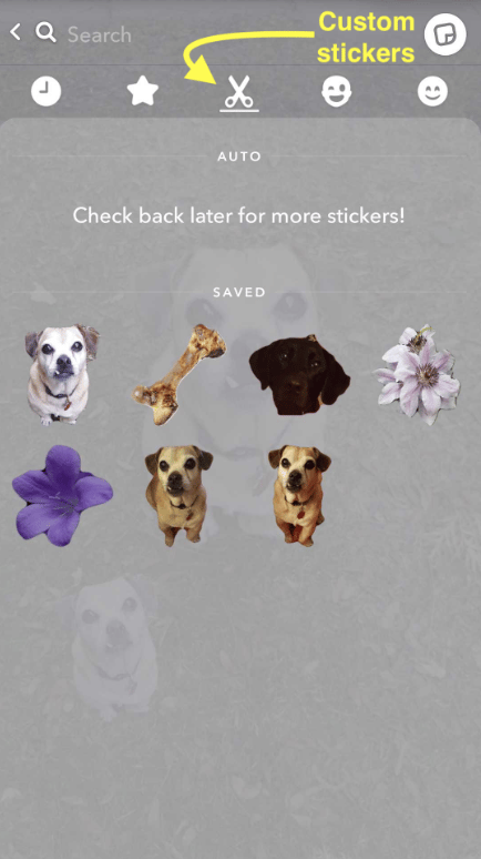 The Best Guide to Using Snapchat Stickers: How to Make Stickers, GIFs ...