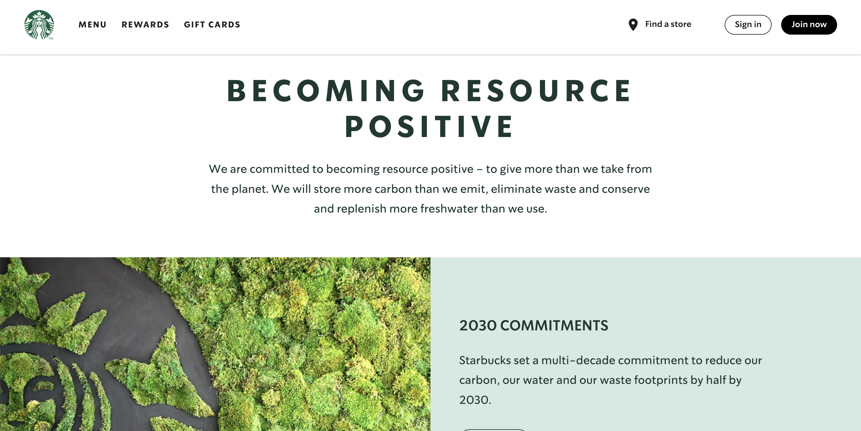 Green Marketing in 2025: Strategy, Benefits, and Best Practices