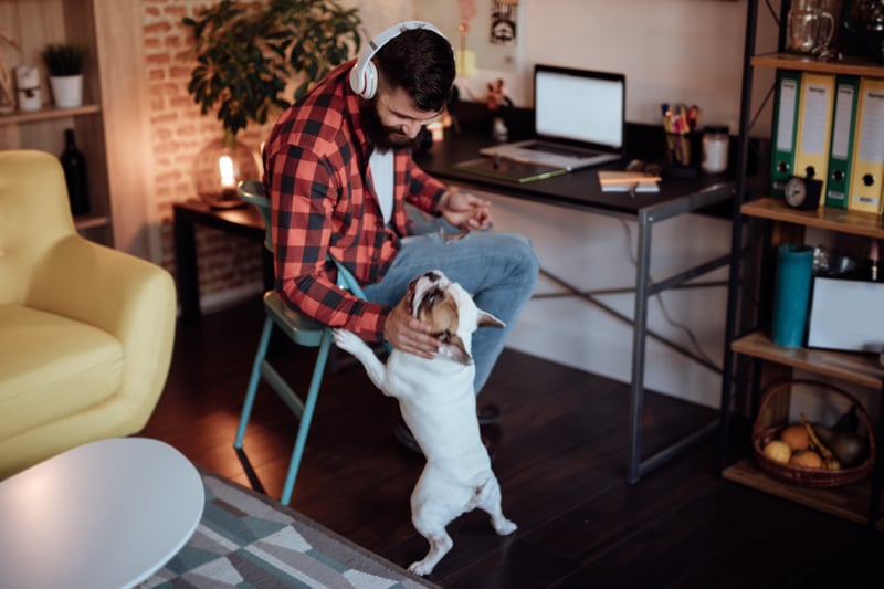 How to Freelance (+5 Steps For Beginning Freelancers)