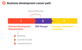 What Is a Typical Business Development Career Path? (+Job Titles ...