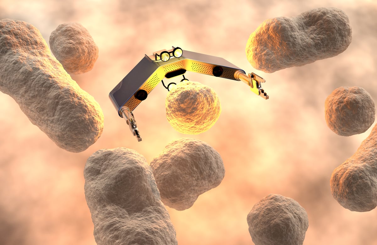 Principles and Applications of Swarm Robotics