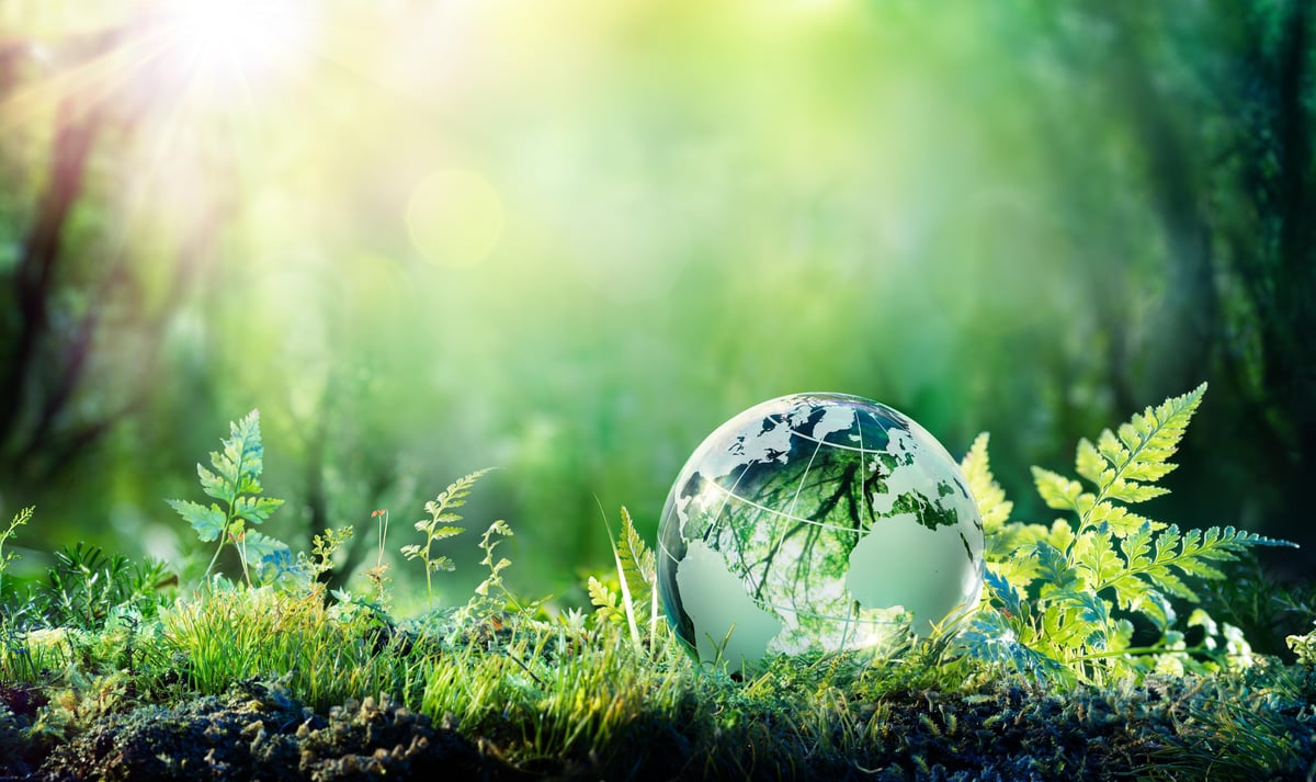 Green Marketing in 2025: Strategy, Benefits, and Best Practices