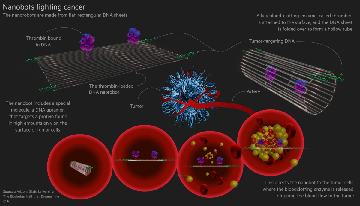 What Is a Nanobot? Theory and Practice