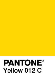 Color Me Confused: What Is Pantone?