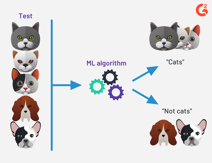 Supervised vs Unsupervised Learning – What's the Difference? Supervised vs Unsupervised Learning – What's the Difference?