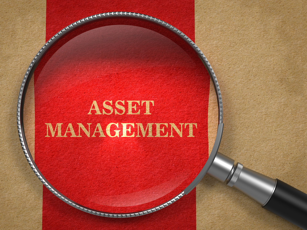 What Is Asset Management? Definition, Terms, and AM Examples